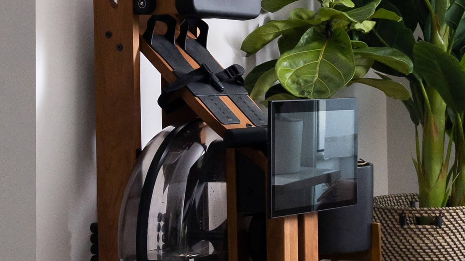 Elevate Your Workout With The Ergatta Rower - IMBOLDN