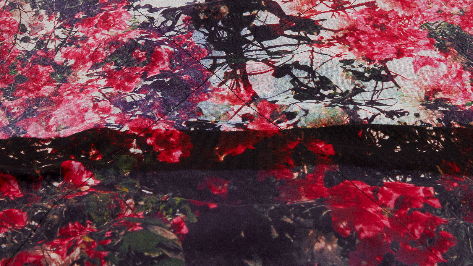 Photographer Shaniqwa Jarvis Brings Her Unique Vision To Converse’s CX ...