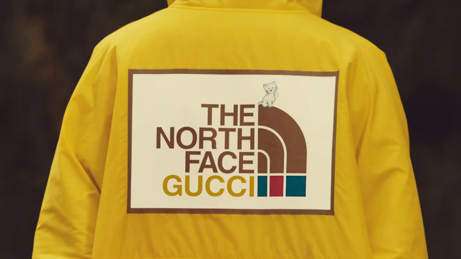 Presenting Gucci x The North Face Collaboration Second Chapter - IMBOLDN