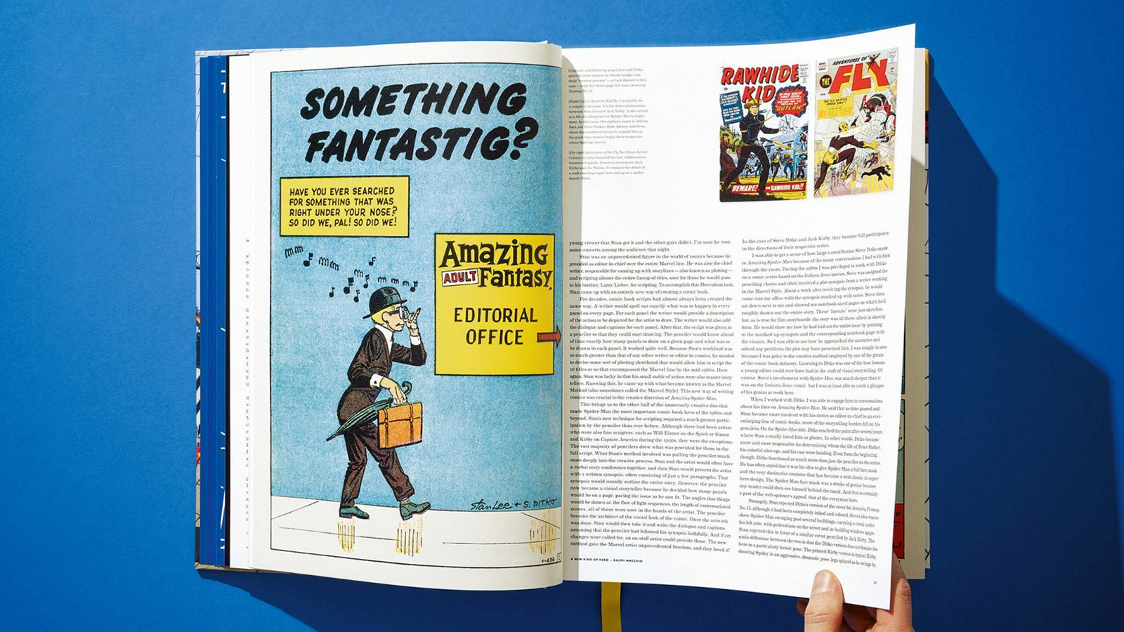 A Collector’s Dream Come True: ‘Marvel Comics Library Spider-Man Vol. 1 ...