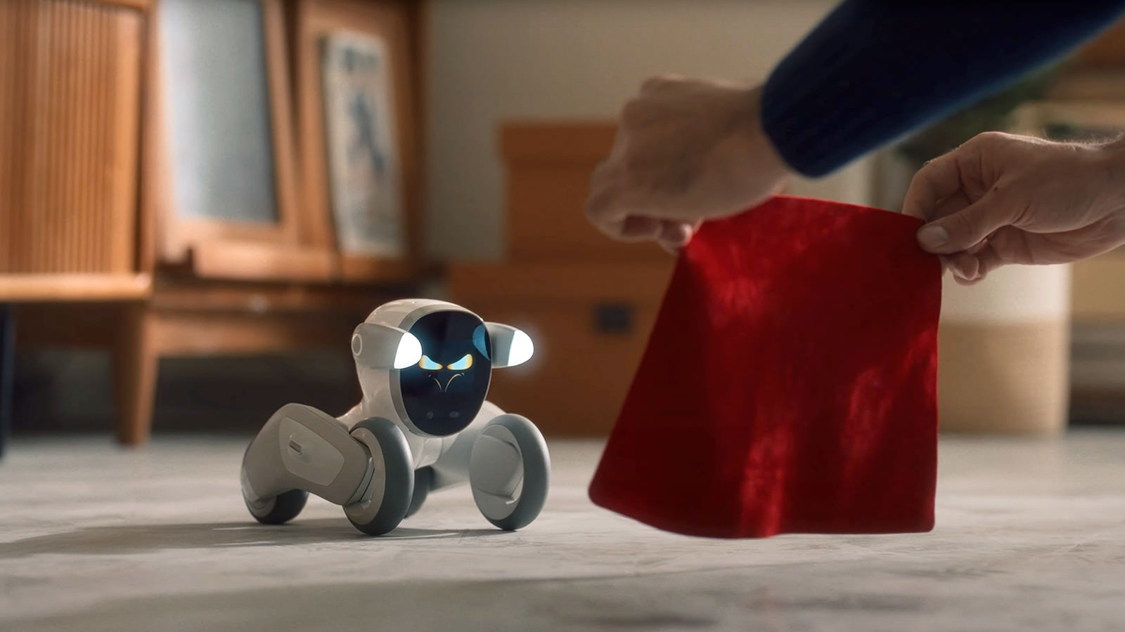 Meet Your New Favorite Robot Companion: Loona - IMBOLDN