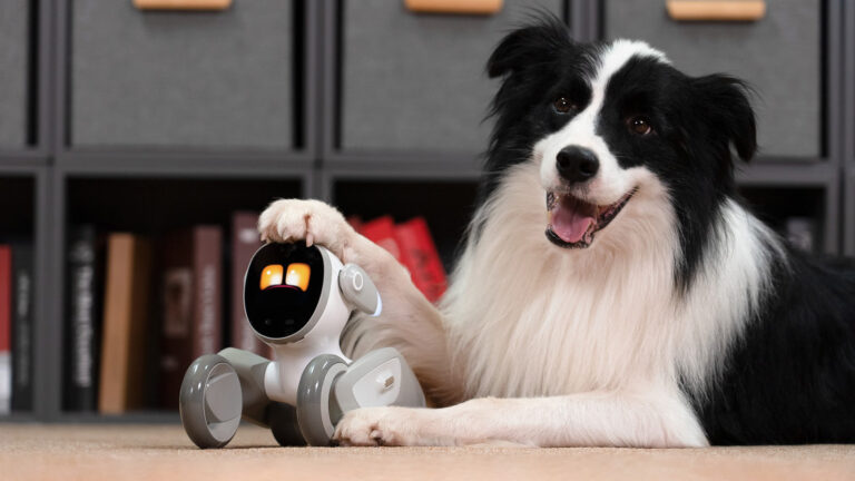 Meet Your New Favorite Robot Companion: Loona - IMBOLDN