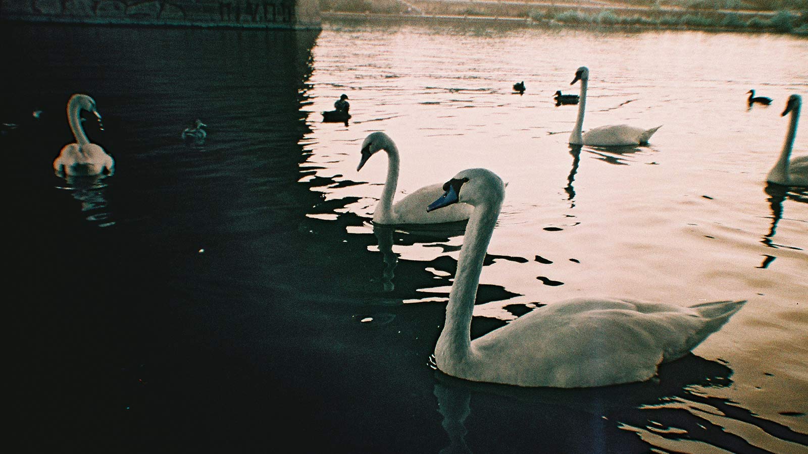 Simple Use Reusable Film Camera LomoChrome Turquoise Is an Eco-Friendly ...