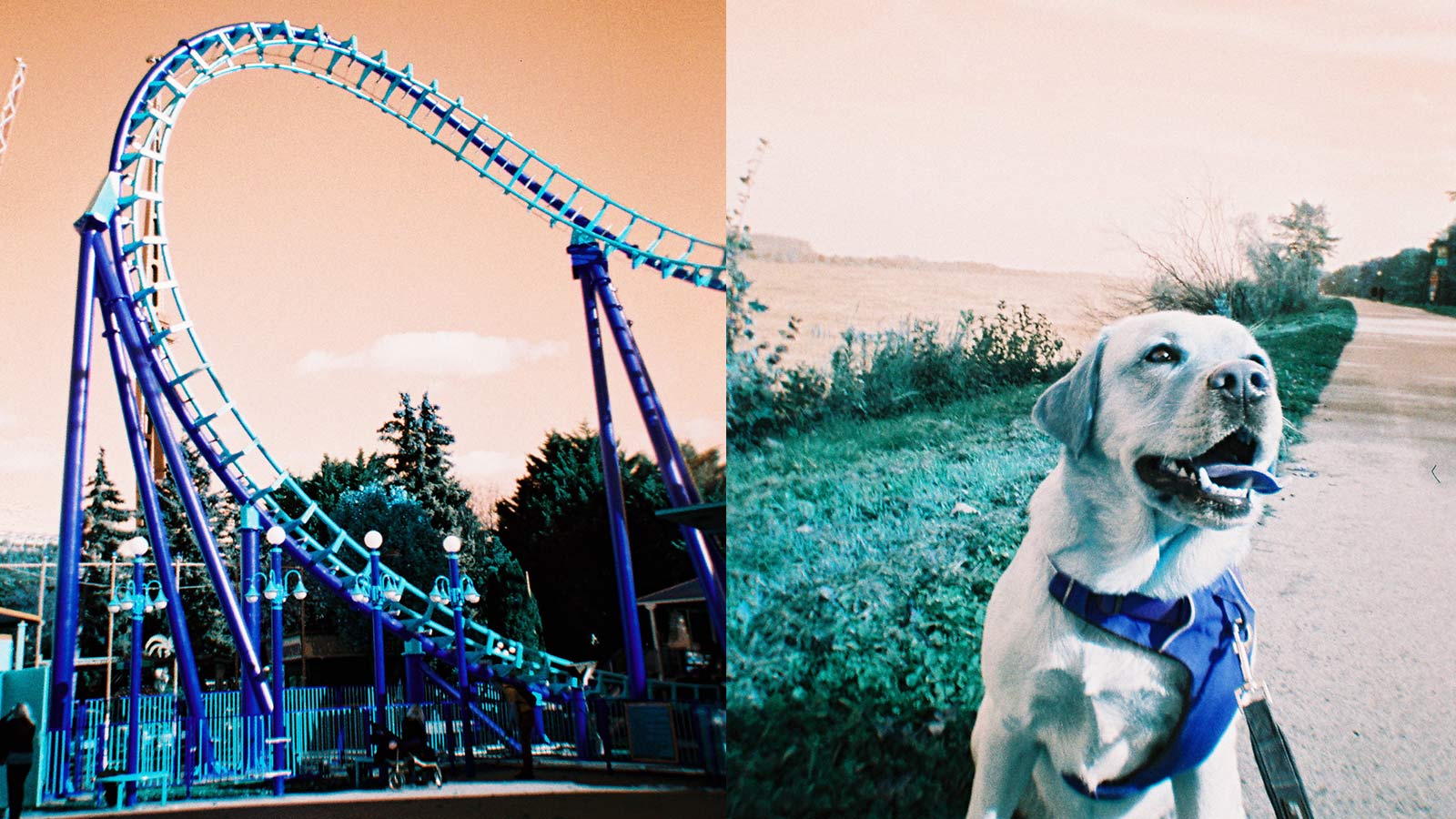 Simple Use Reusable Film Camera LomoChrome Turquoise Is an Eco-Friendly ...