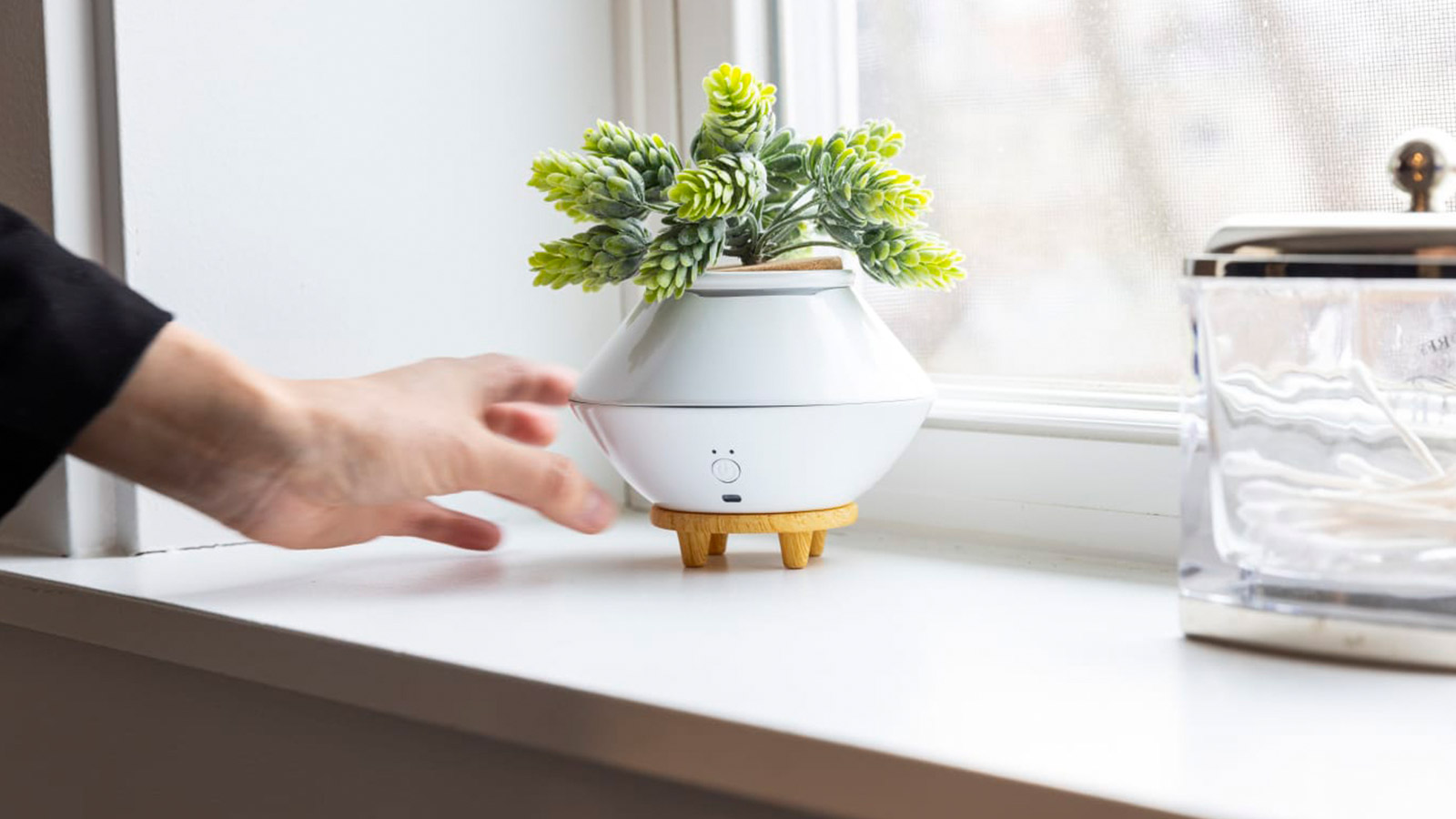 Freshen The Air In Your Home With Bloom Smart Scent Dispensing Planter ...