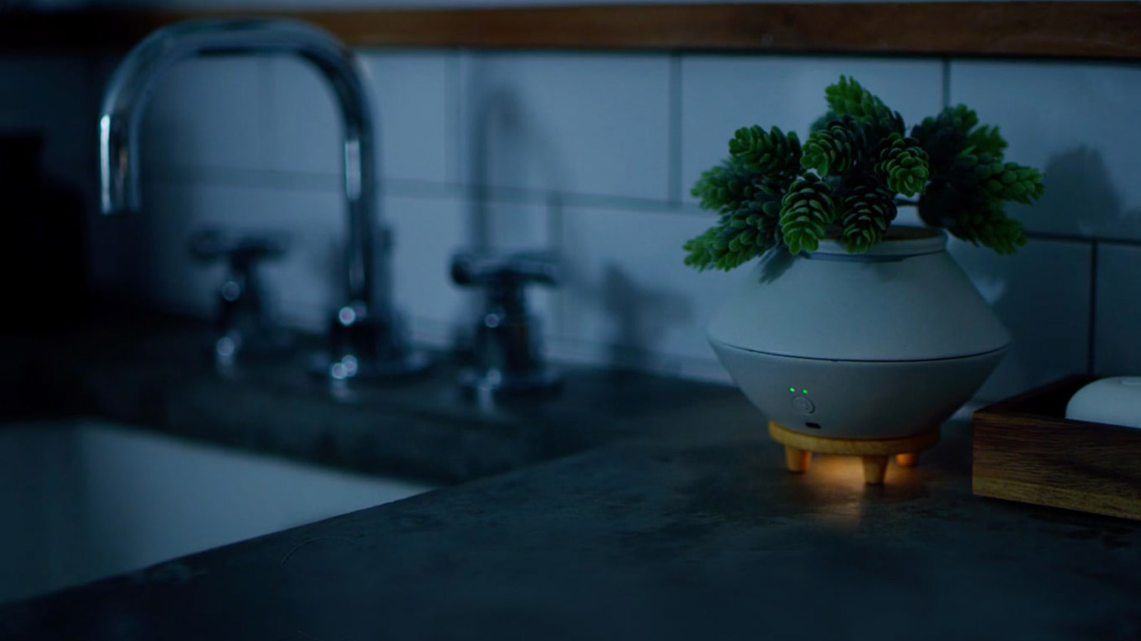 Freshen The Air In Your Home With Bloom Smart Scent Dispensing Planter ...