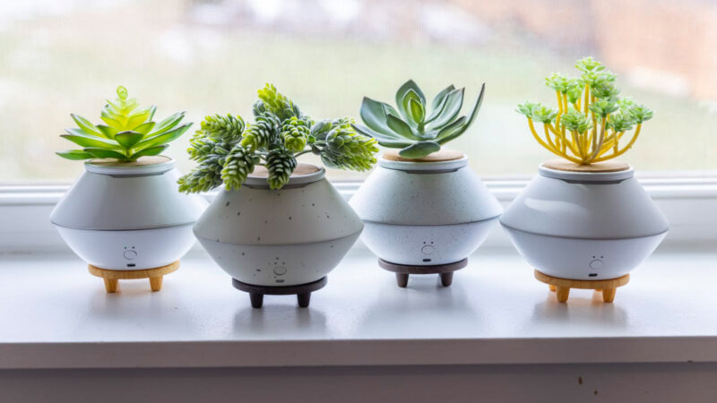 Freshen The Air In Your Home With Bloom Smart Scent Dispensing Planter ...