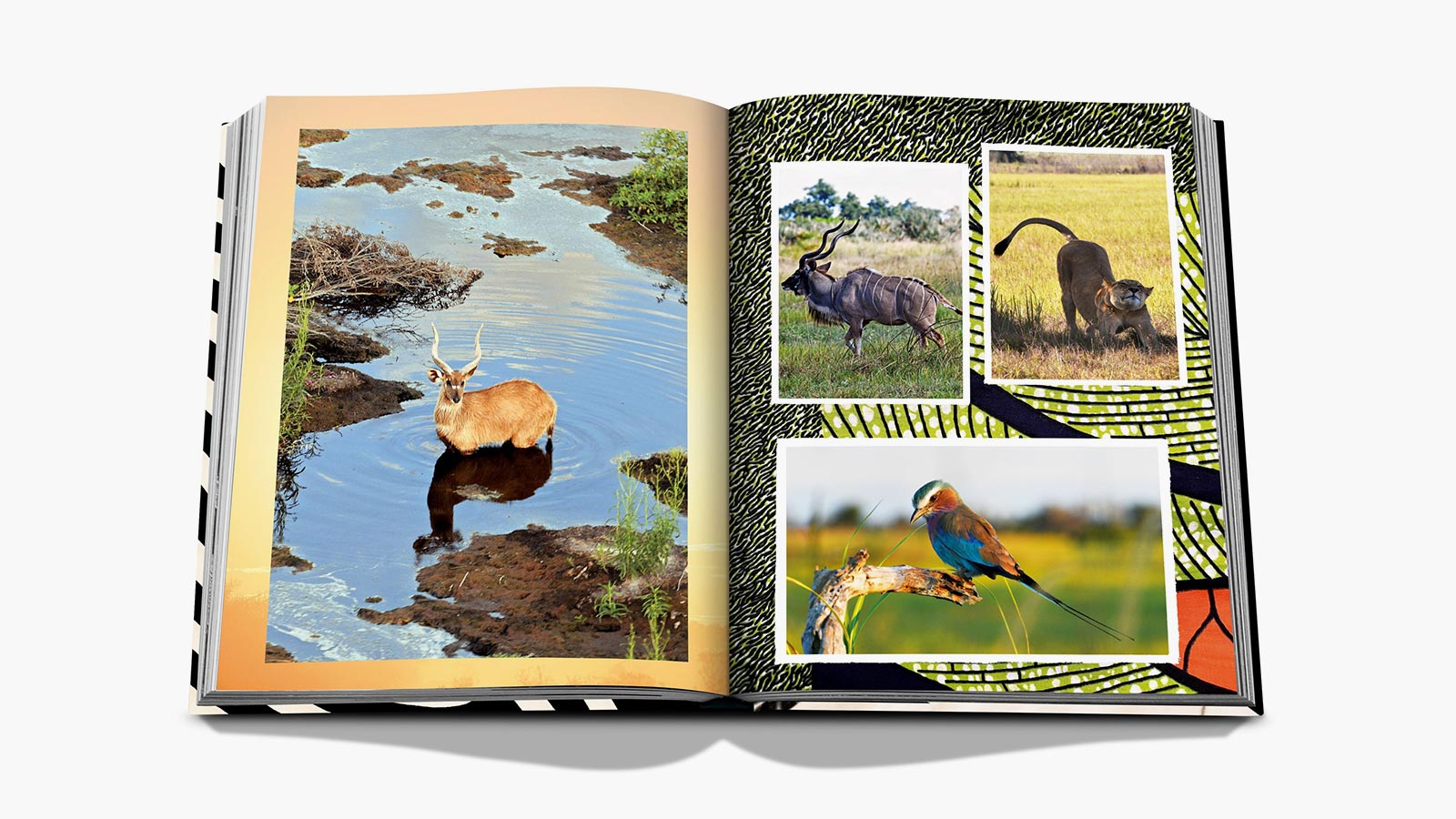 ‘African Adventures: The Greatest Safari On Earth’ - A Journey Through ...