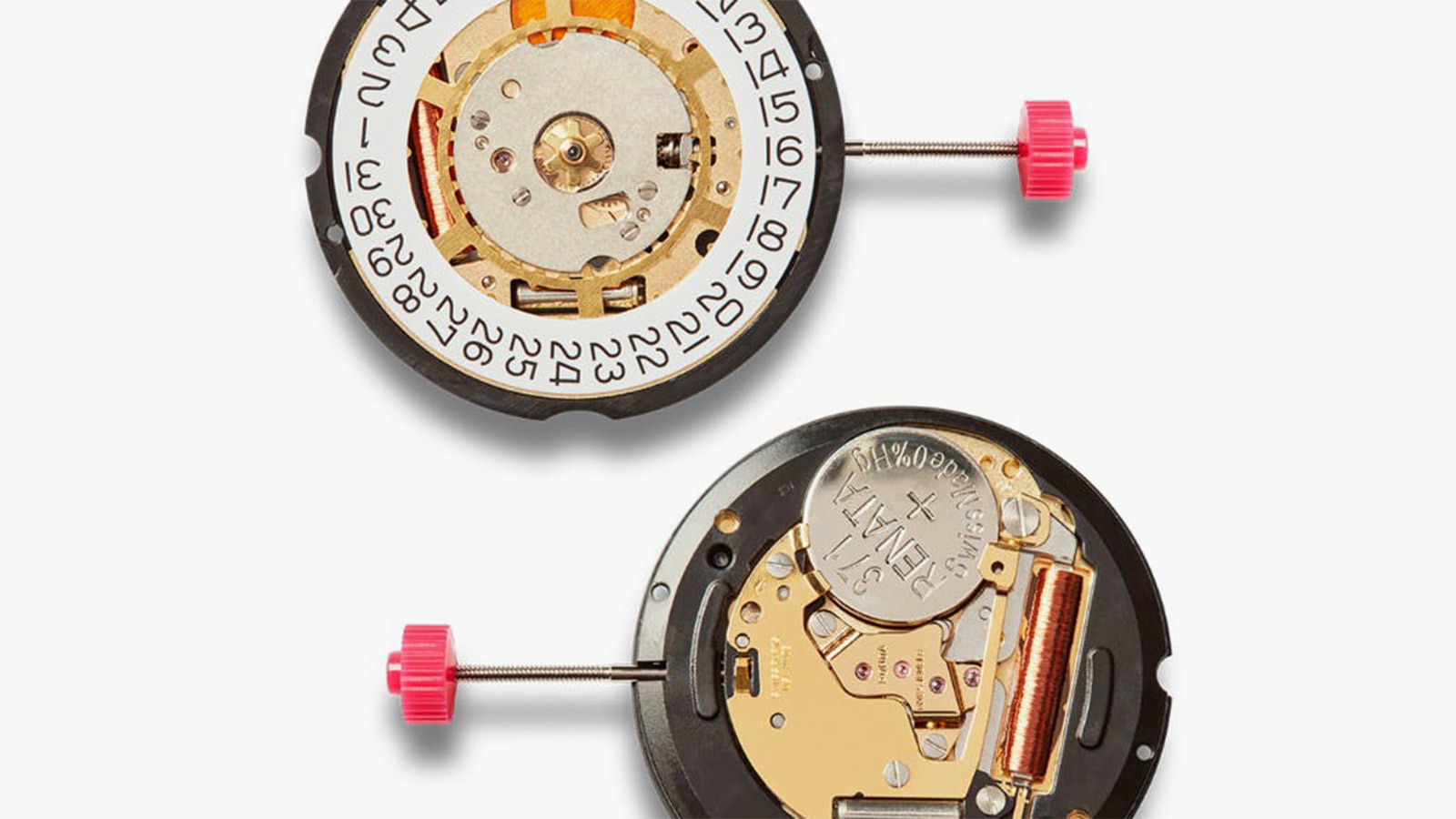 Introducing The Shinola Sea Creatures Detrola Skeleton Version - A ...