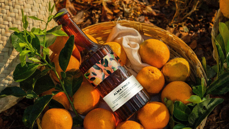 Uncover The Essence Of Yucatan With Casa Lumbre Alma Finca Orange ...