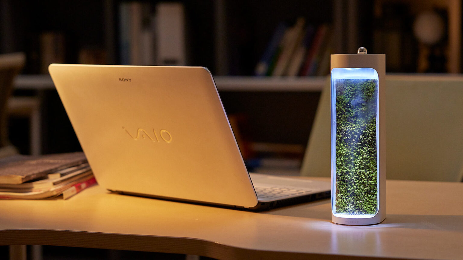 Moss Air Transforms Air Purification - IMBOLDN