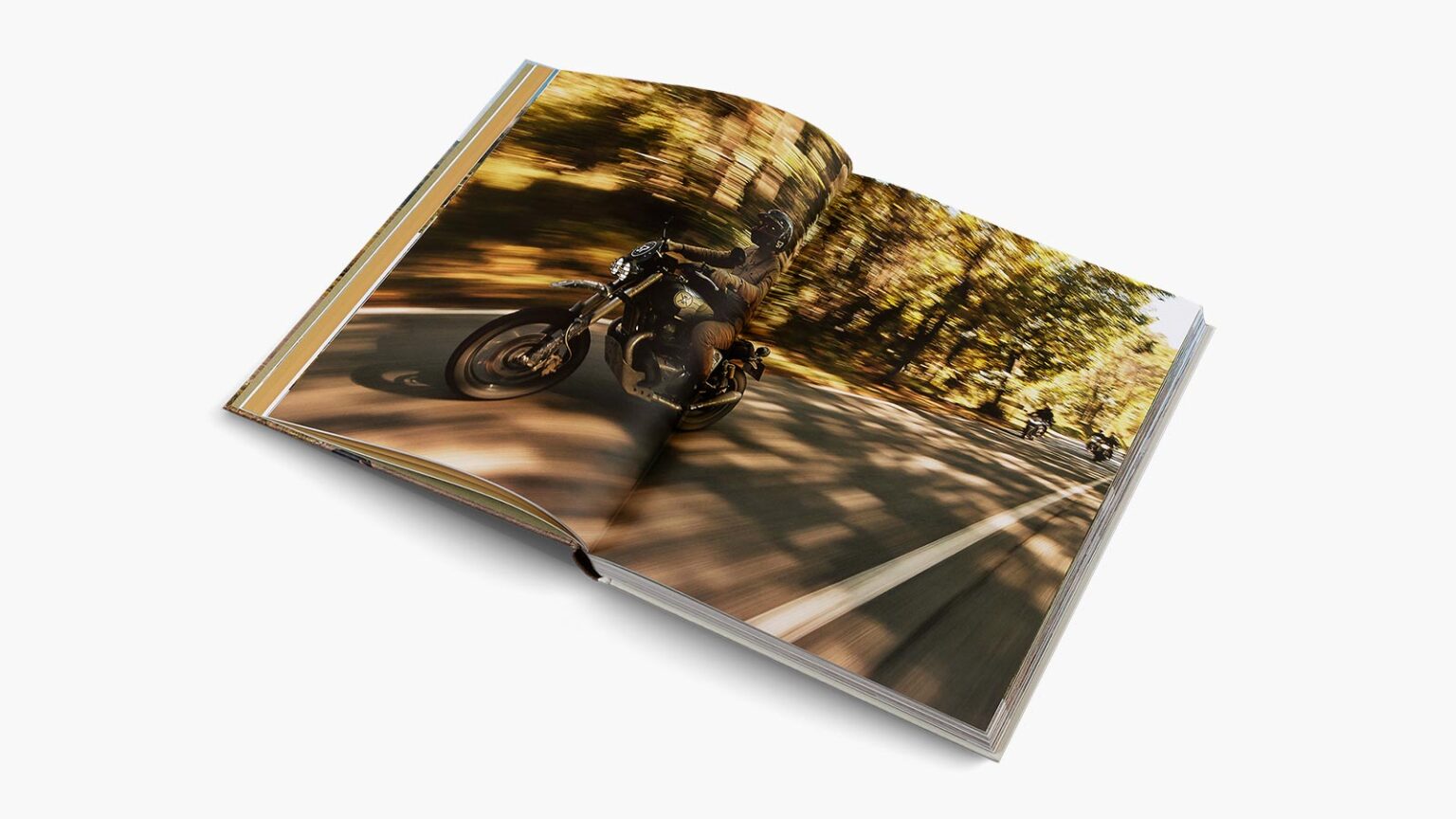 Exploring The Untamed Adventures Of 'Riding In The Wild' By Jordan ...