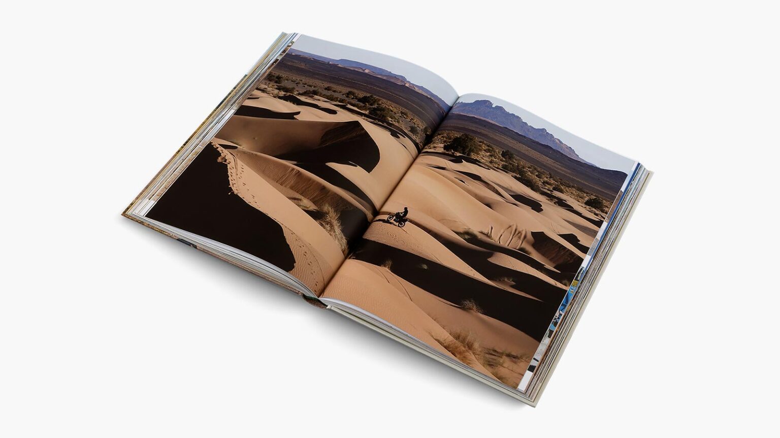 Exploring The Untamed Adventures Of 'Riding In The Wild' By Jordan ...