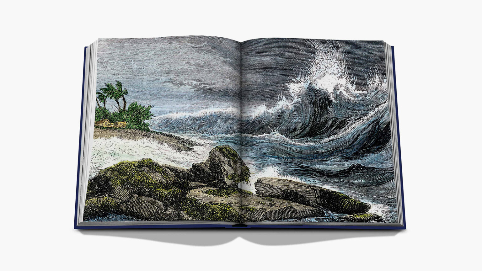 'Ocean Wanderlust' By Kevin Koenig: A Literary Voyage Beneath The Waves ...